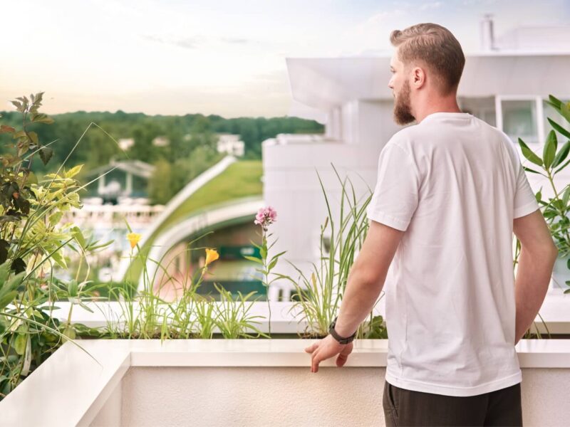 Stejarii Collection – Bucuresti